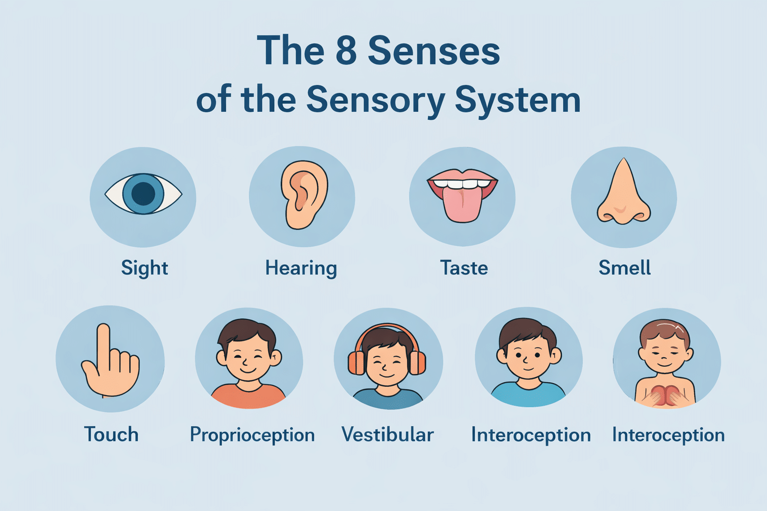 The 8 Senses Explained for Parents | Pediatric OT Guide